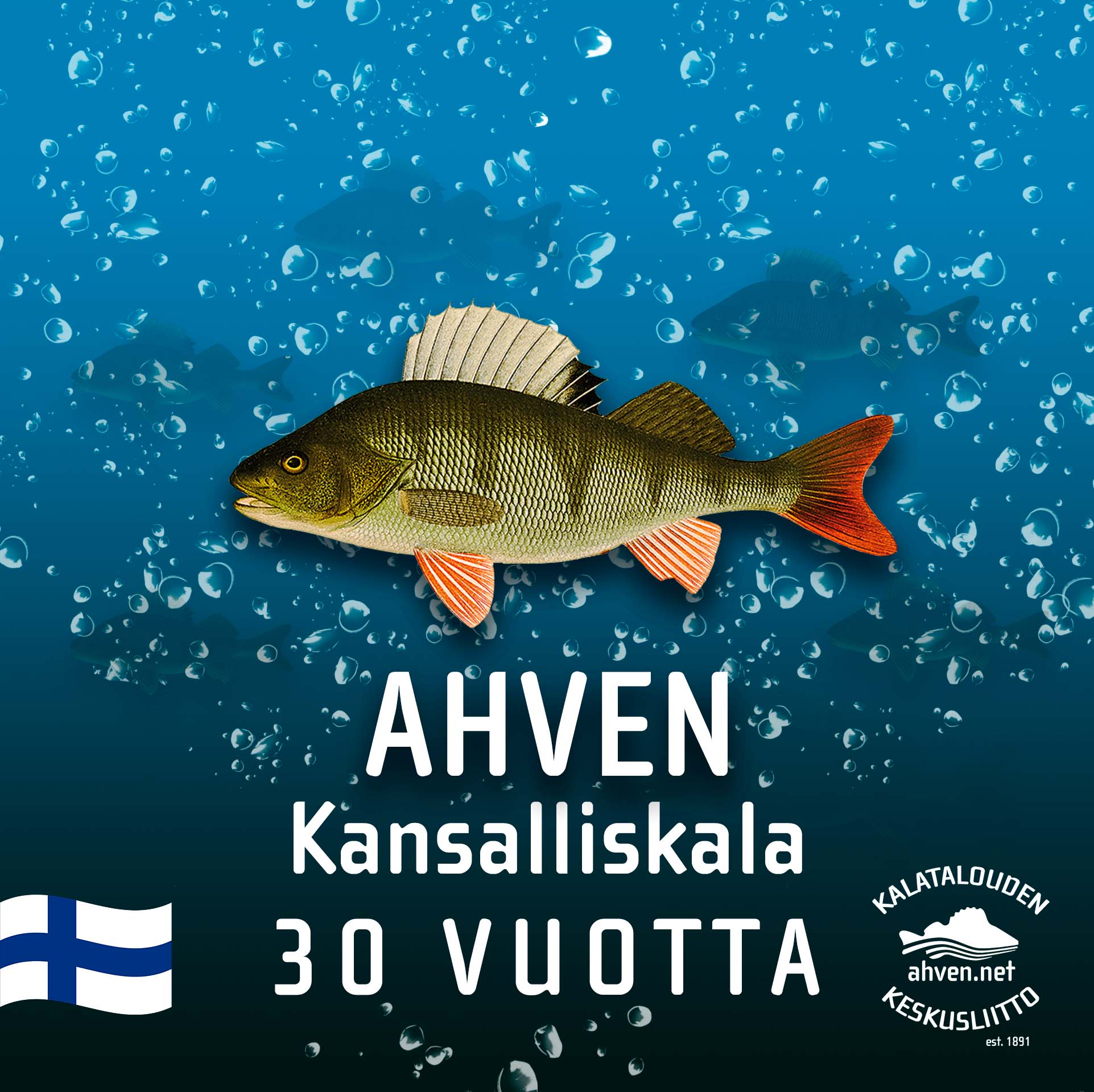 Suomen kansalliskala ahven 30 vuotta – juhlavuonna jaetaan tietoa ...